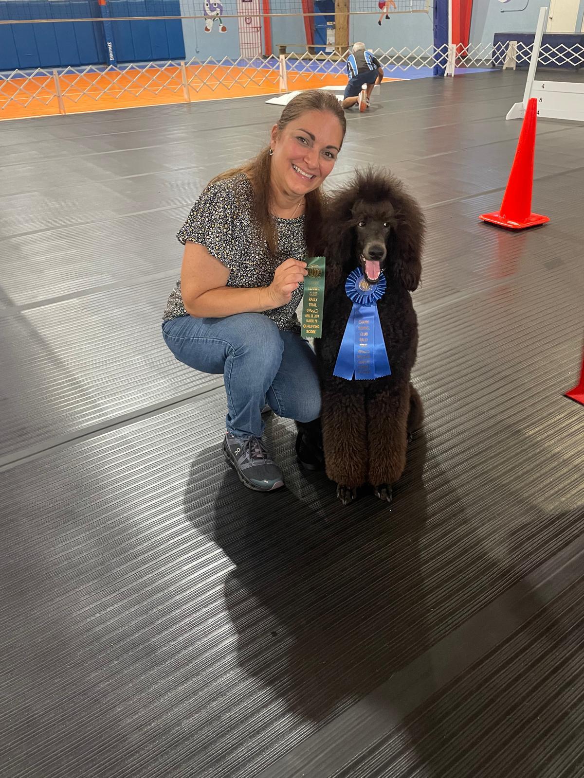 LD Dog Training - Premier Dog Training Services in Puerto Rico